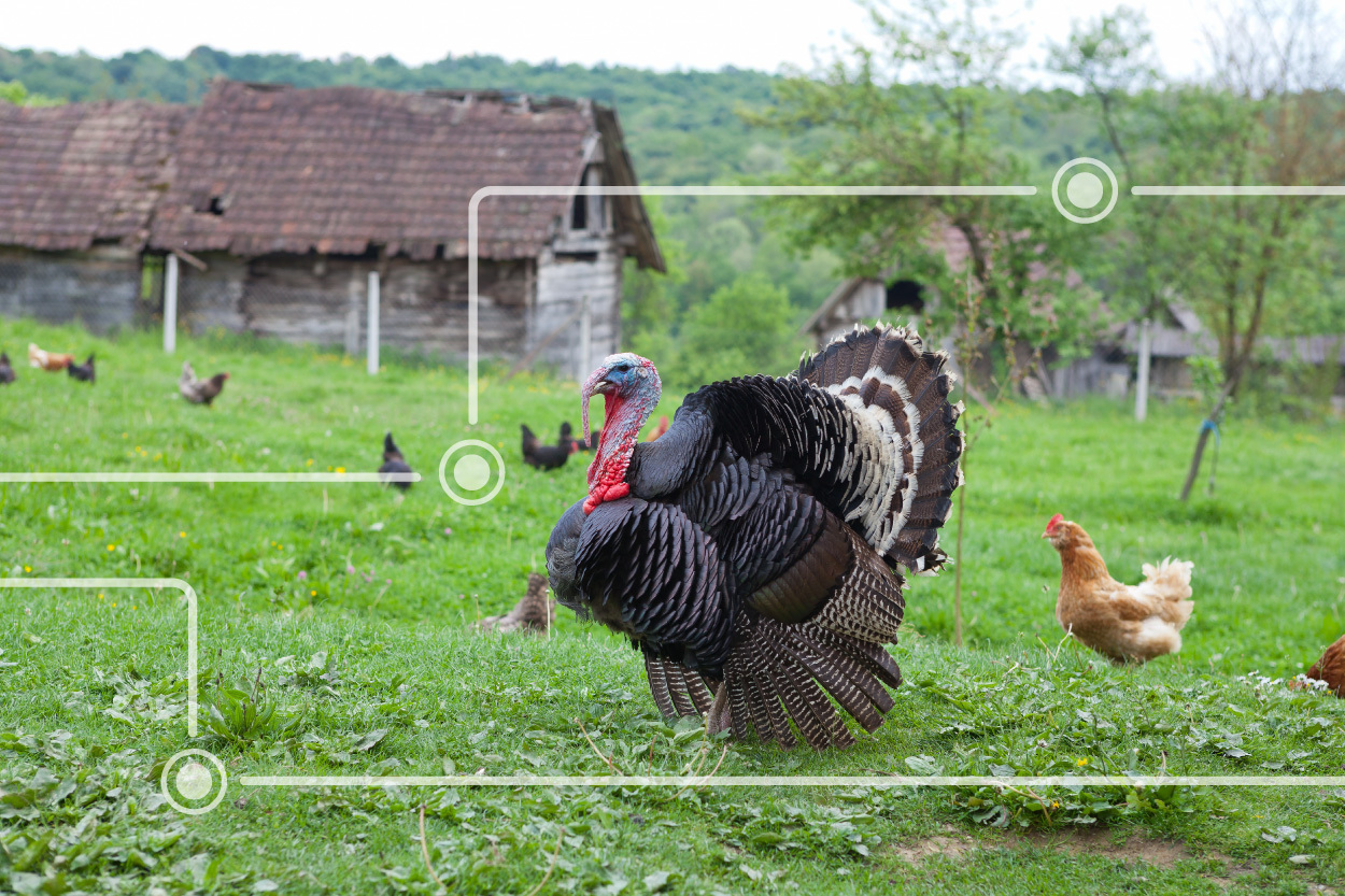 Launching First-of-a-Kind Turkey Emissions Tracker | Ndustrial
